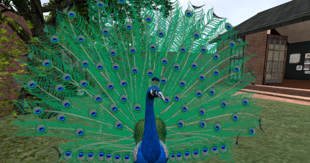 Interlingue-Occidental: Li pavon e li chuvo (Fabul de Aesop)