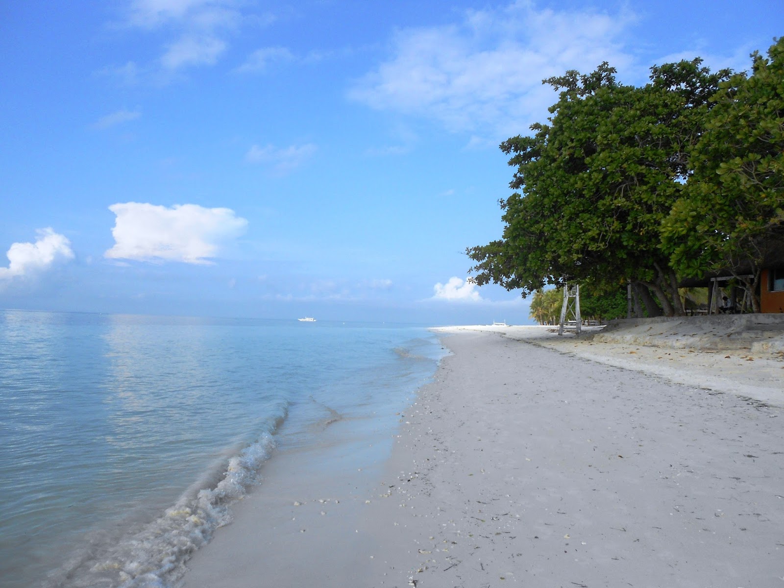 Life as Eu Know It: Beautiful Bohol