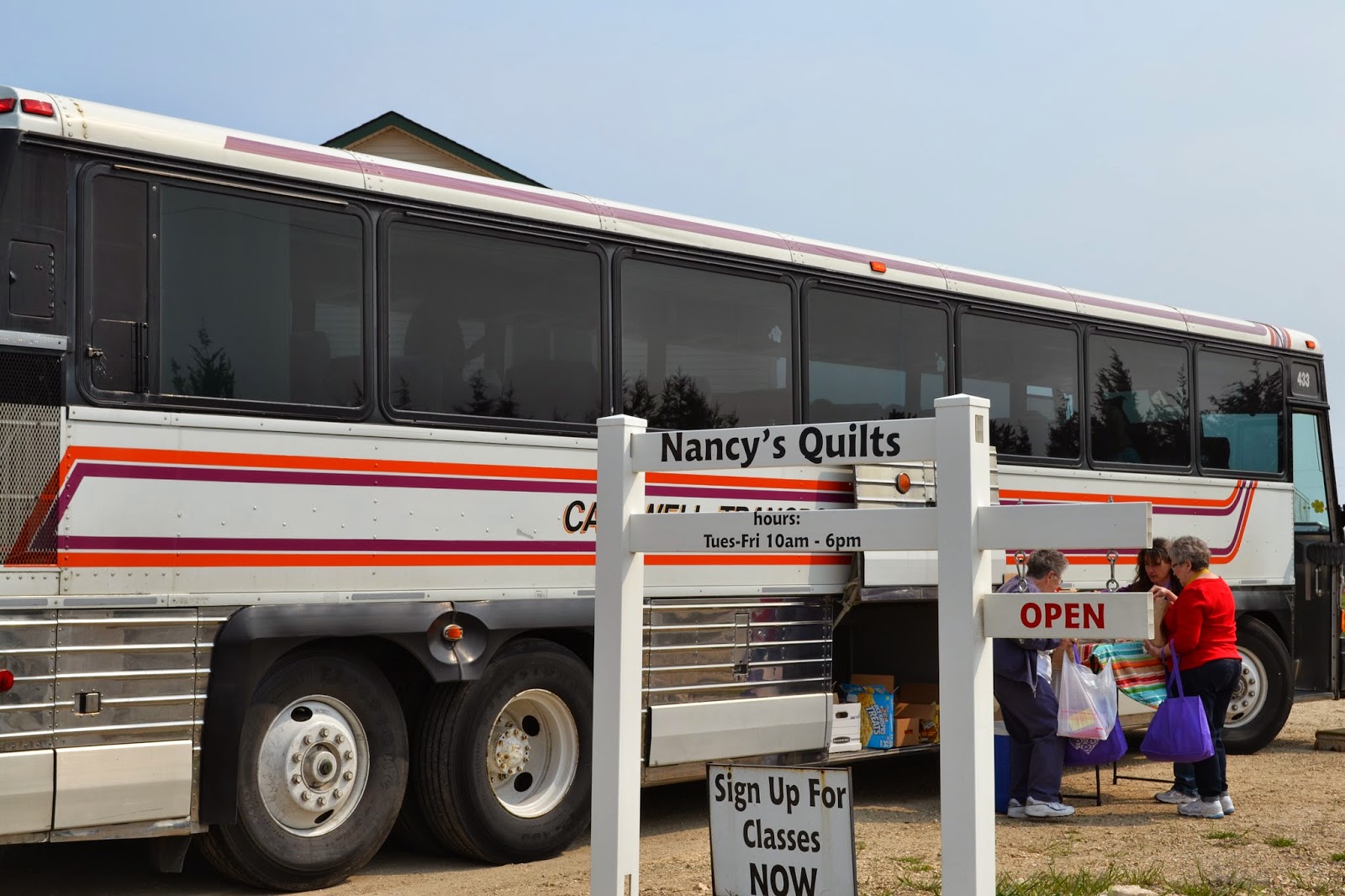 Alicia Sheehy, Author