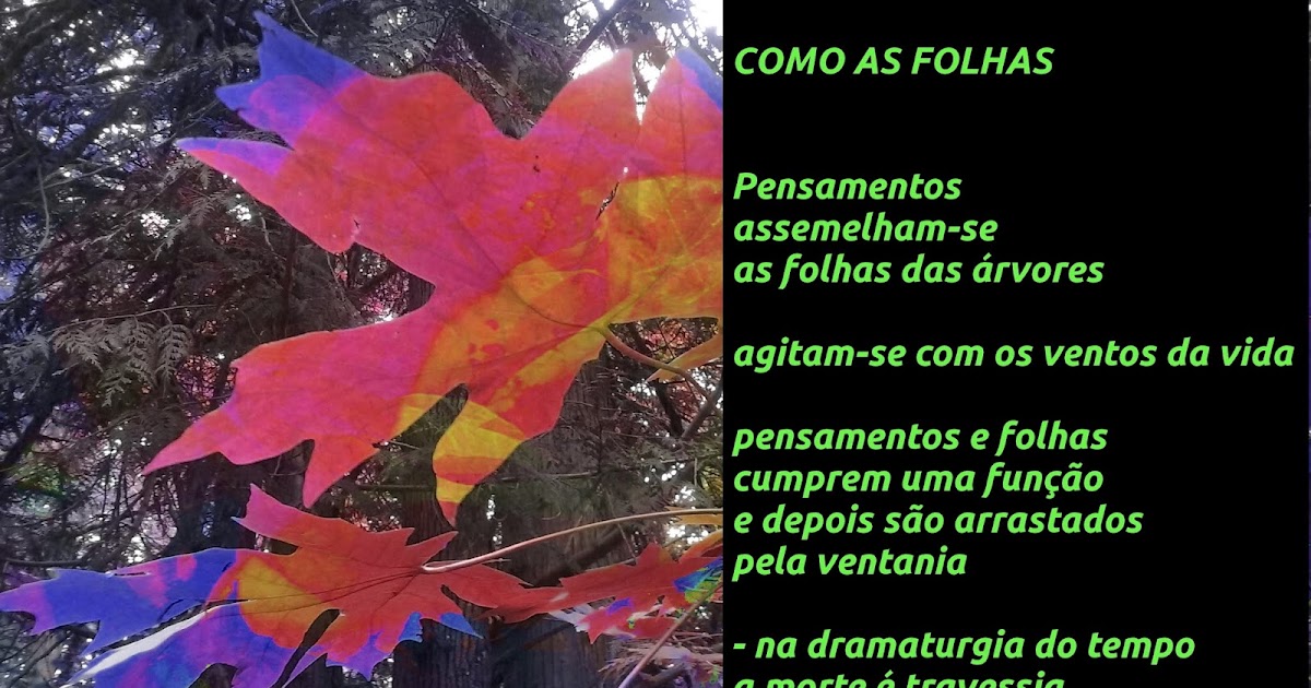 Isabel Furini: Cinco poemas filosóficos