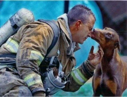 26 Heartwarming pictures of animal rescues | Amazing Creatures