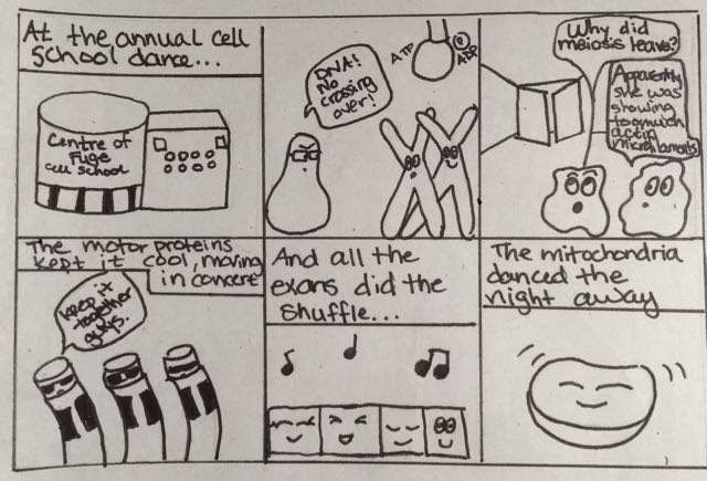 Meiosis Comic Strip