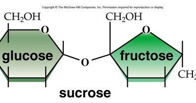 Fructose, Glucose, and Sucrose In Nature ~ BIO Organic Life