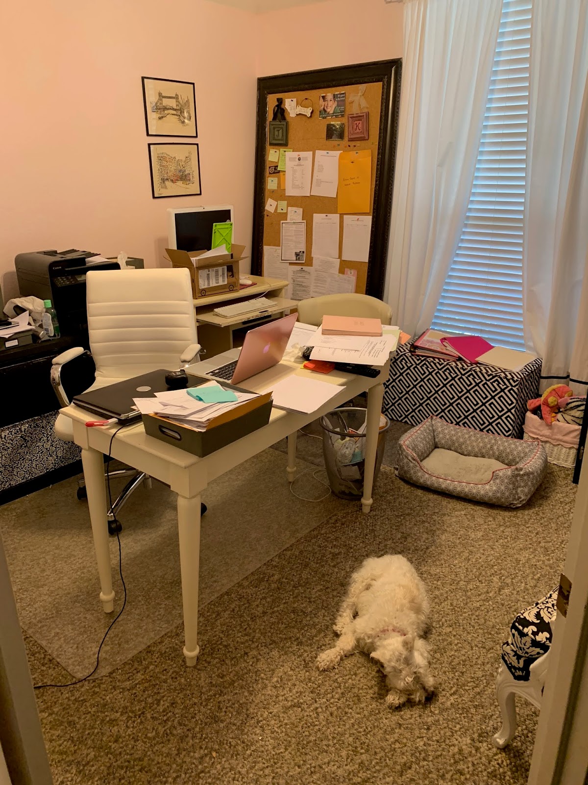 Home Office Redecorating Project