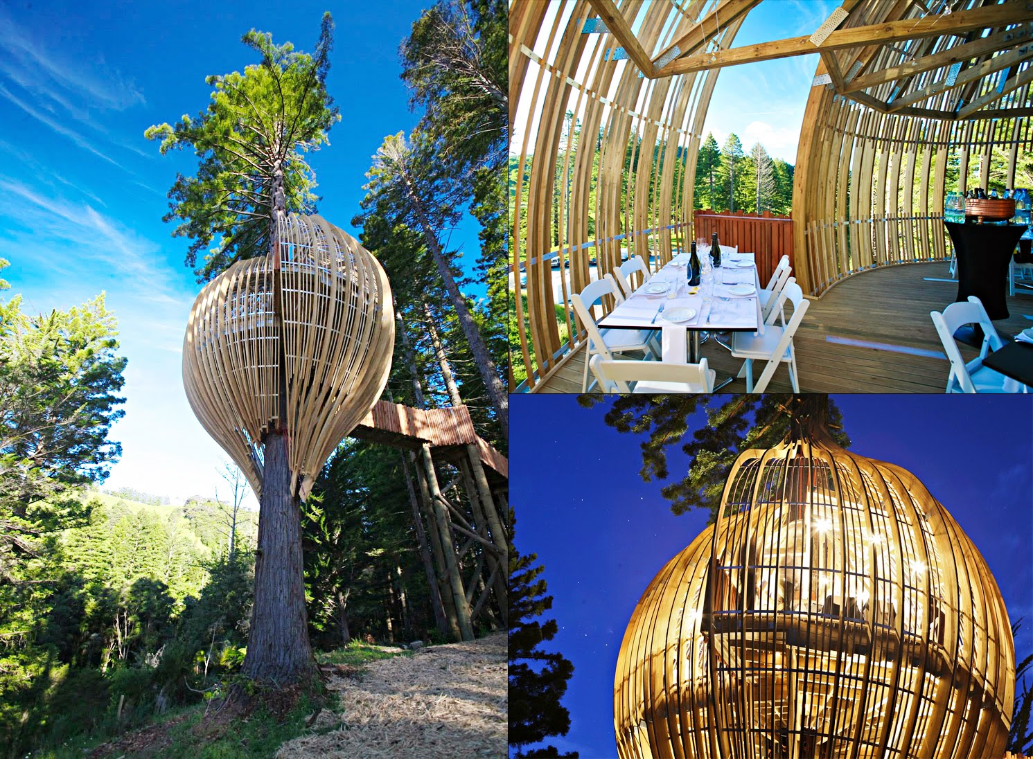 Asma Alsaihati: Yellow Treehouse Restaurant, New Zealand.