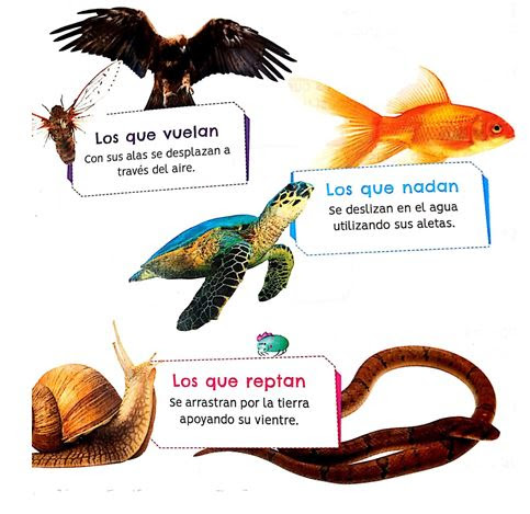 Segundo Grado: Clase 83