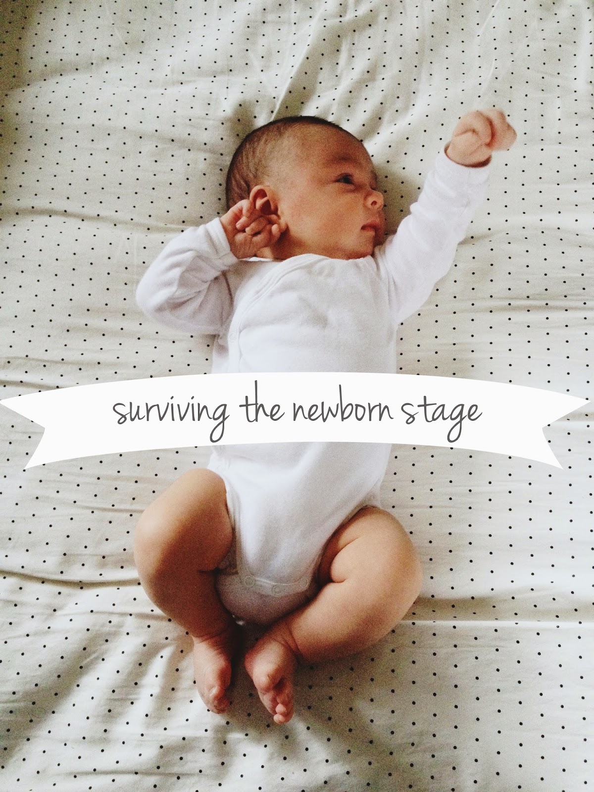 surviving the newborn stage - Flora & Fauna