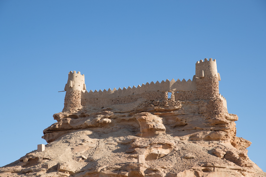 Birds of Saudi Arabia: Zaabal Castle - Sakaka