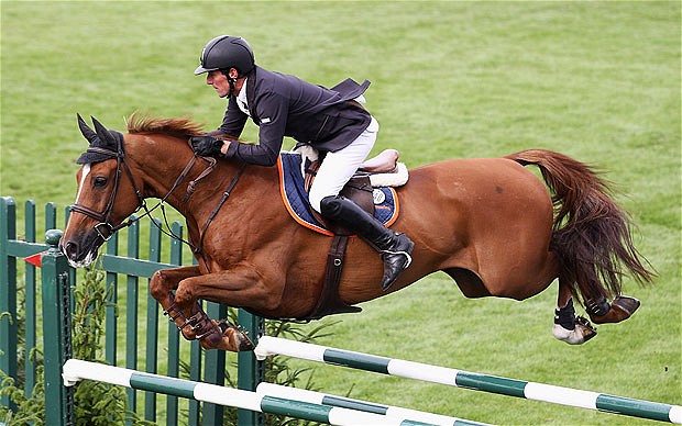 ShowJumping: Phases of the Jump