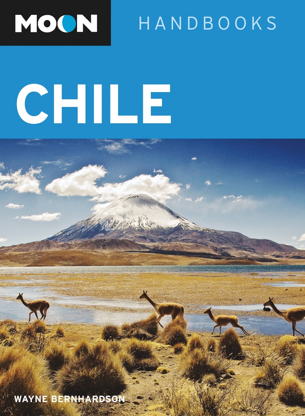 Best Travel Guide Book For Chile at Maria Couch blog