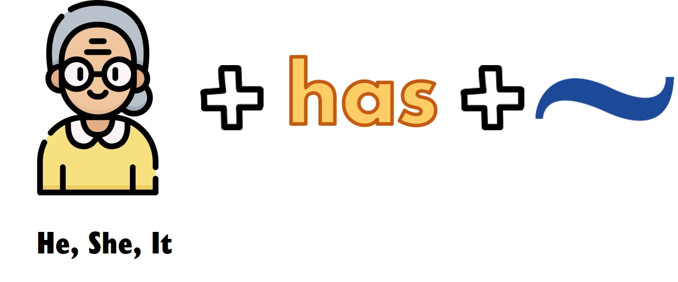 El verbo "have/has" en presente simple