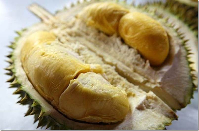 Under The Angsana Tree: Malaysia Best 10 Durians‏