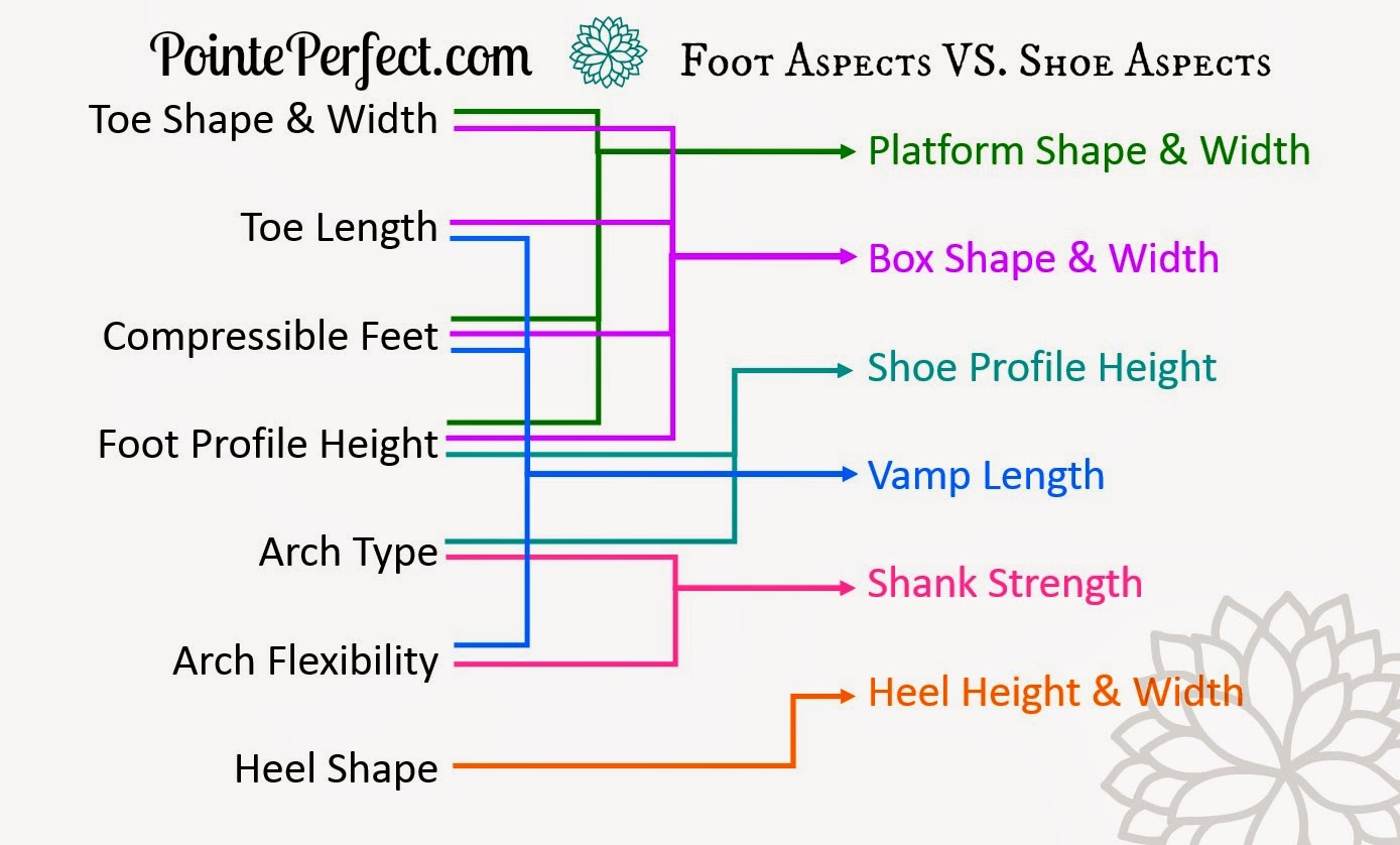 Learning Your Foot Type-- For The Best Pointe Fit