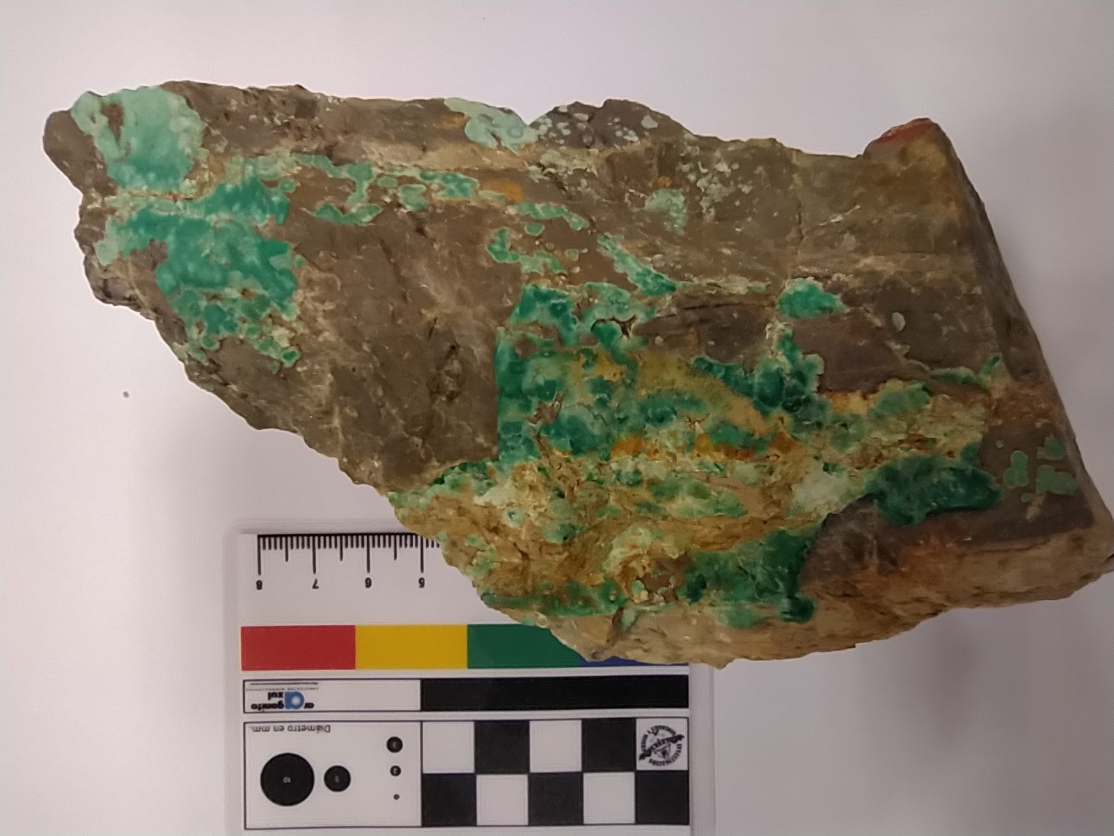 Asociación Mineralógica Aragonito Azul-Área de geología y paleontología ...