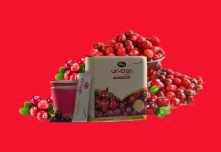 Anyang-anyangan Menyerang, Basmi dengan Prive Uri-Cran | Elva Nasira