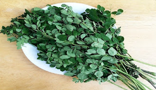 What are the benefits of Malunggay leaves?