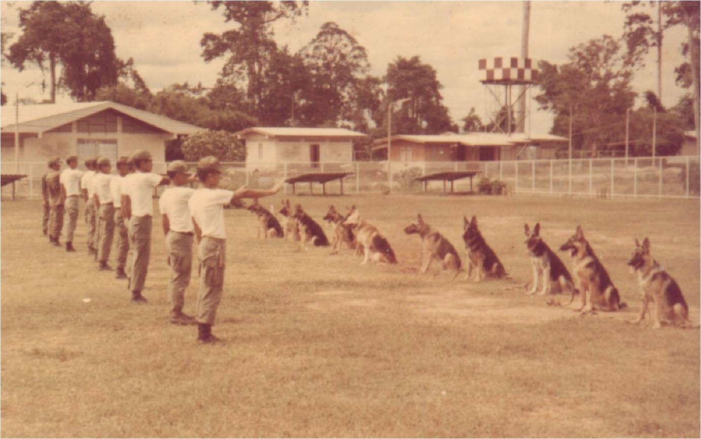 police dog handler: Brief History of Police dog training by handlers