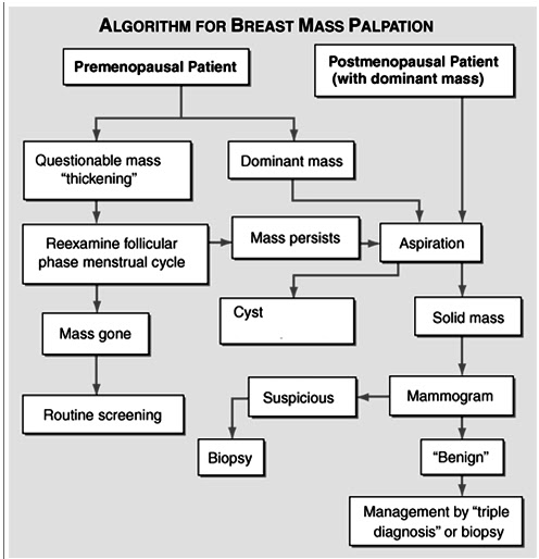 Medical Addicts: Algorithm for Breast Mass Palpation