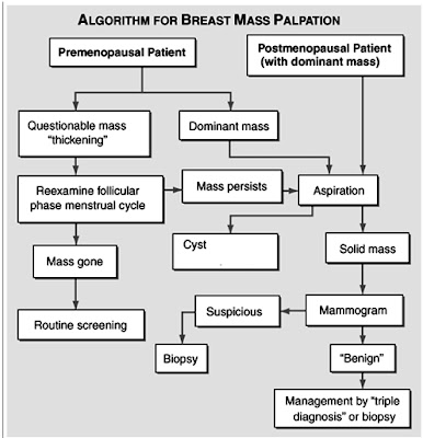 Medical Addicts: Algorithm for Breast Mass Palpation