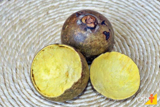 Saúde pelas Plantas