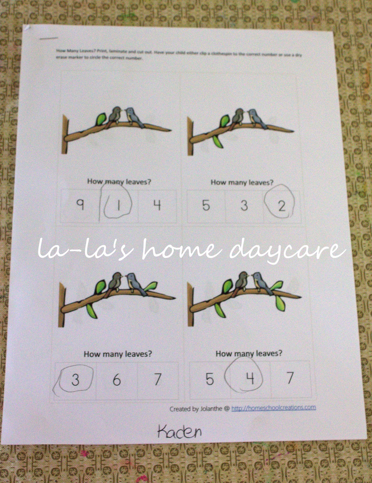 La-La's Home Daycare: Spring Bird Unit