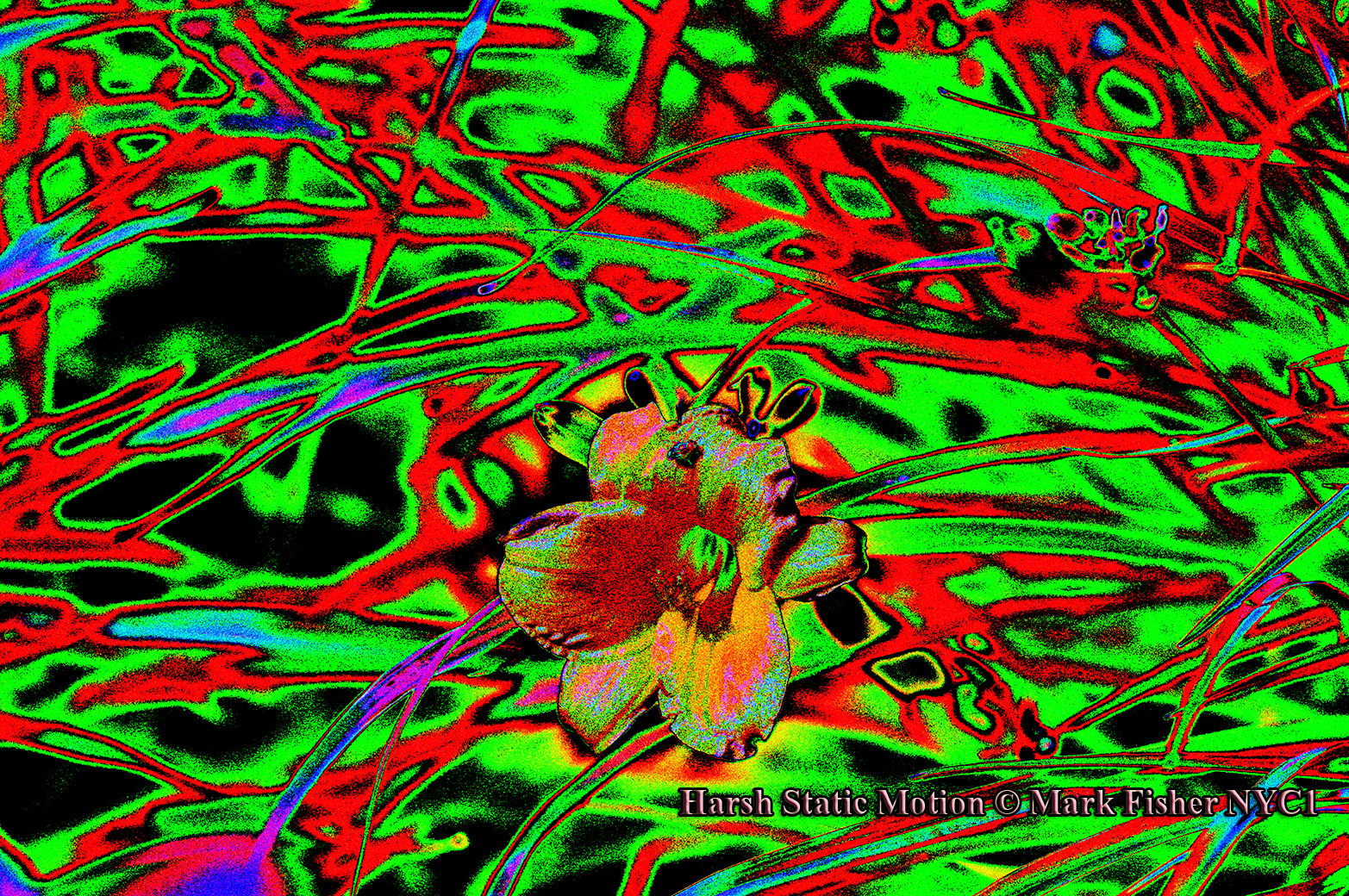 Mark Fisher American Photographer™: Harsh Static Motion • American ...