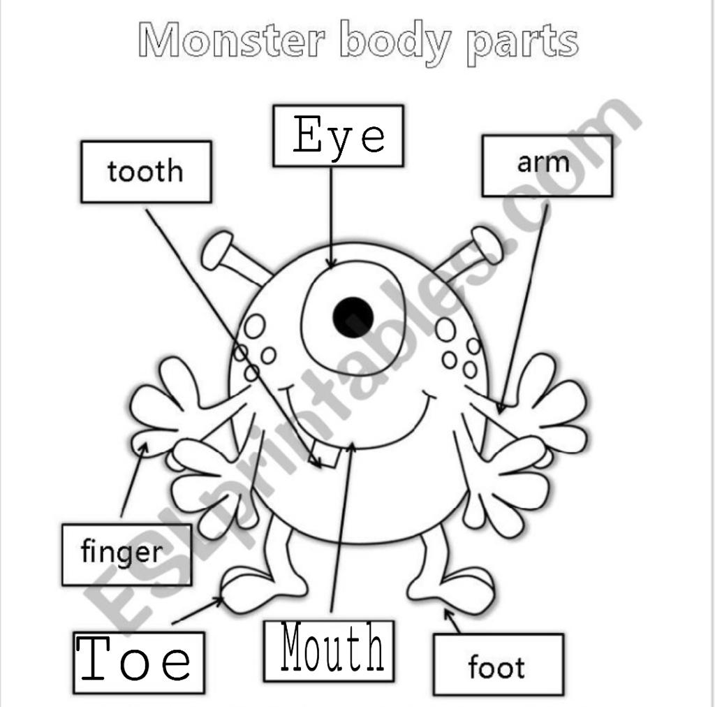 Escuela de Educación Primaria N°67 "COMBATE DE LOS POZOS": Parts of the ...