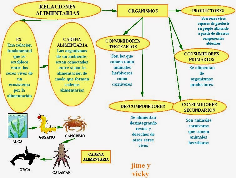 Escuela Primaria Nº 319 Viedma: Relaciones Alimentarias