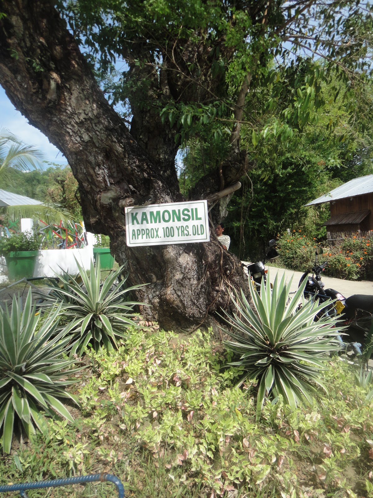 my simple life: garin farm @ san joaquin, iloilo