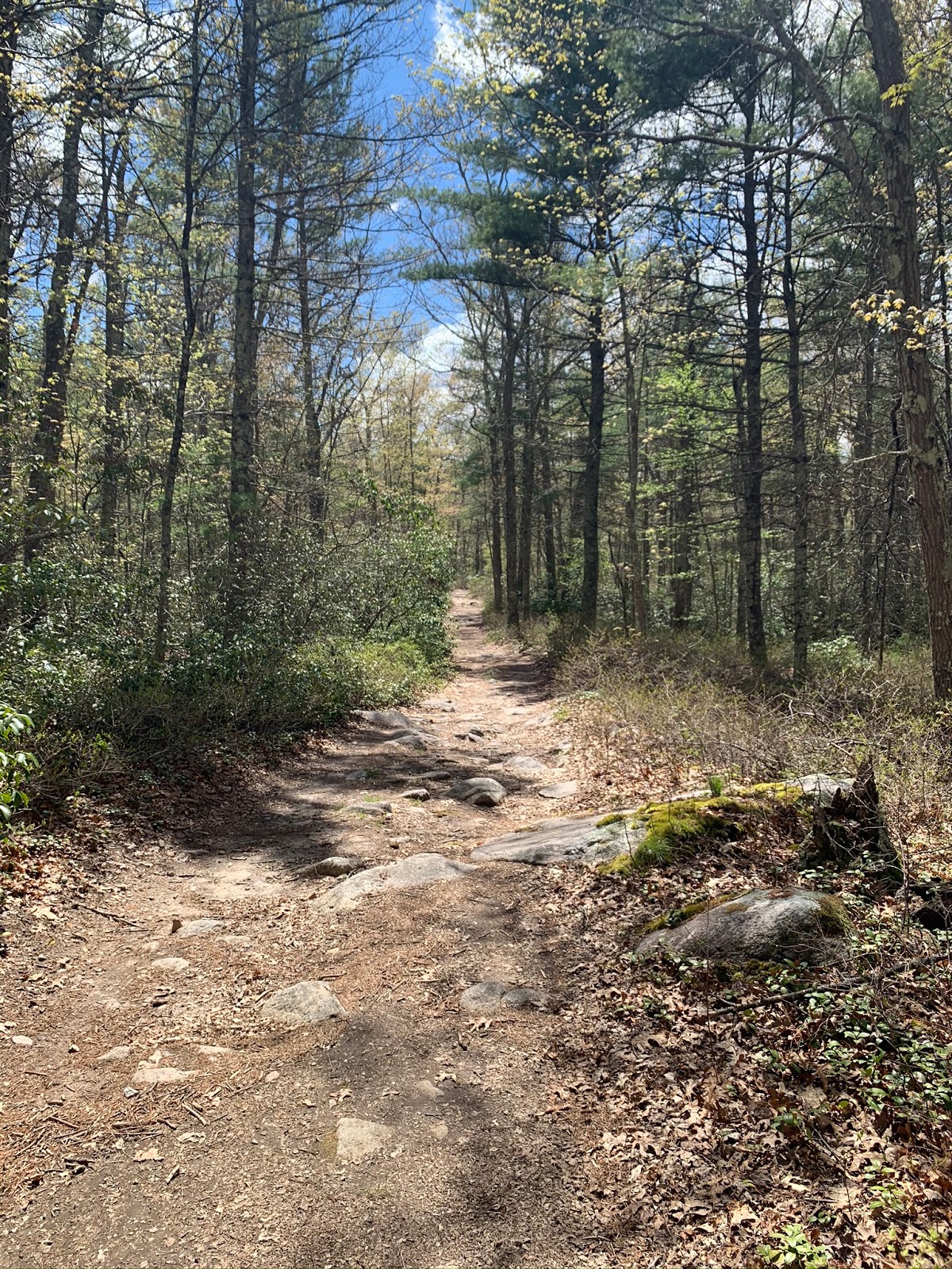 JCXC: Midstate Trail Section Hiking: Route 16 Douglas to Southern ...