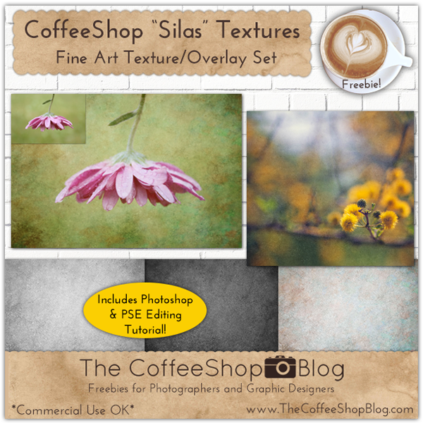 The CoffeeShop Blog: CoffeeShop "Silas" Fine Art Texture Set!