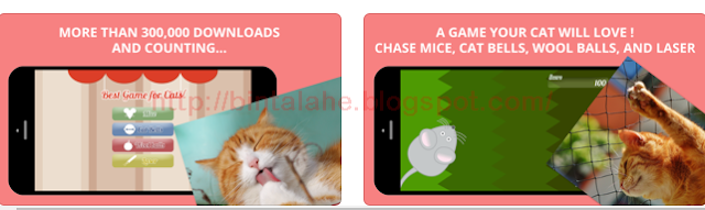 7 Game Kucing Untuk iPad Atau Tablet Android Anda - Ninna Wiends