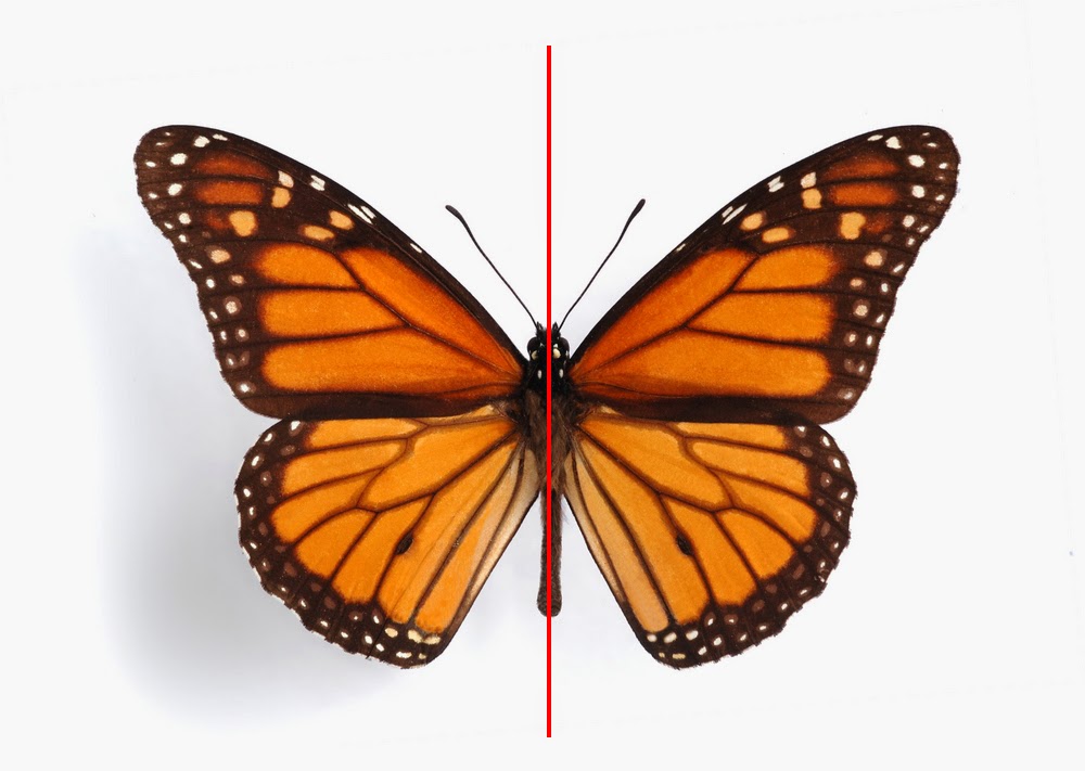 Transformaciones isométricas: Simetría y reflexión