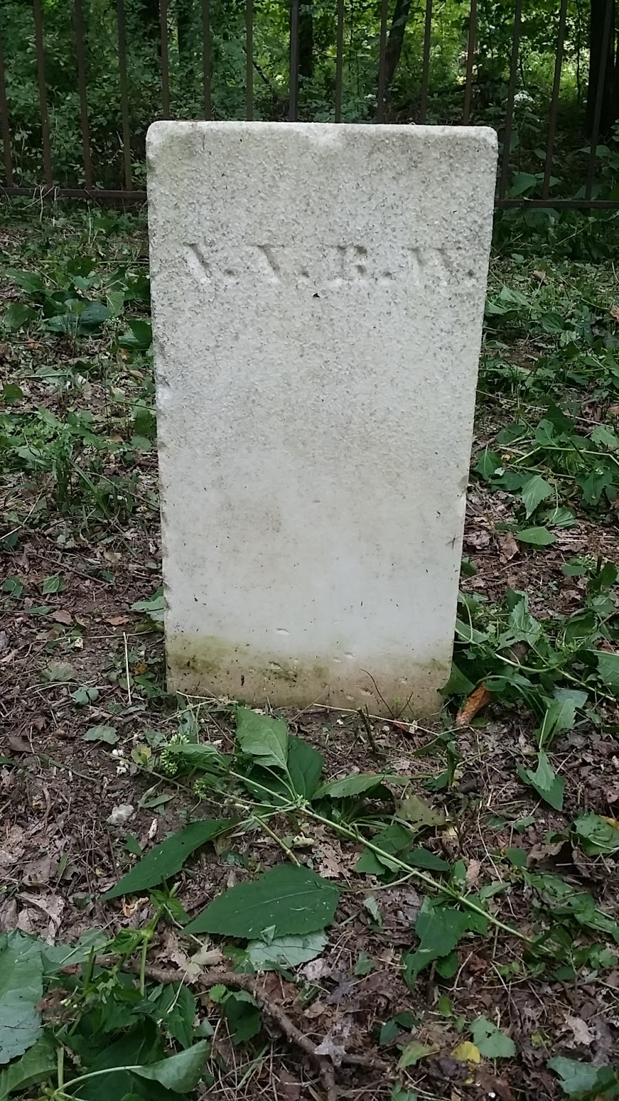 Finding your Past: Genealogical Gleanings with the Albany Grave Digger ...