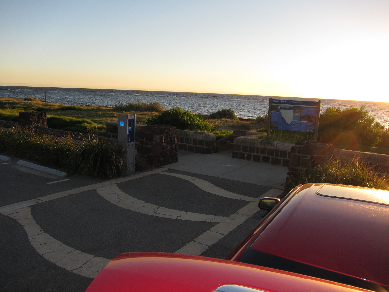 Diving: Ricketts Point