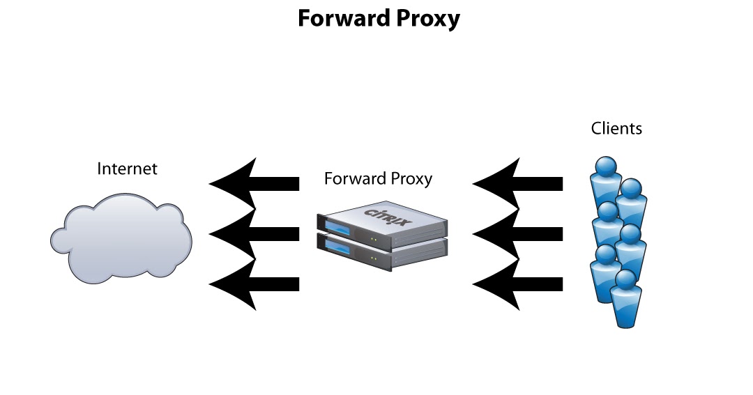 What Are The Different Types Of Proxies what-are-the-different-types-of-proxies