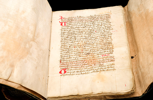 Interesting Pretties: Medieval Limp Bindings