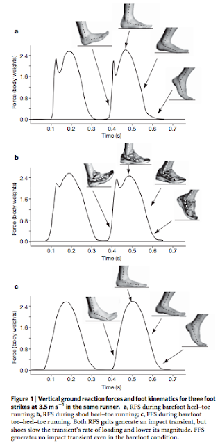 running commentary?: Fun with Physics, part 2: foot impact forces