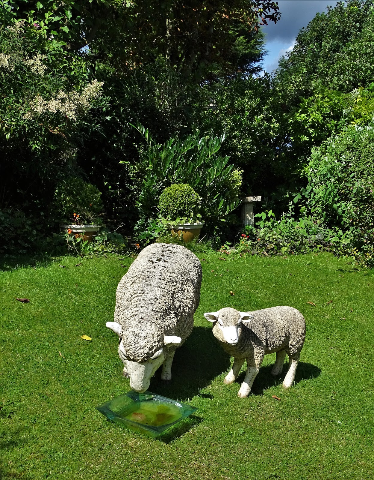 Yorkshire Pudding: Garden