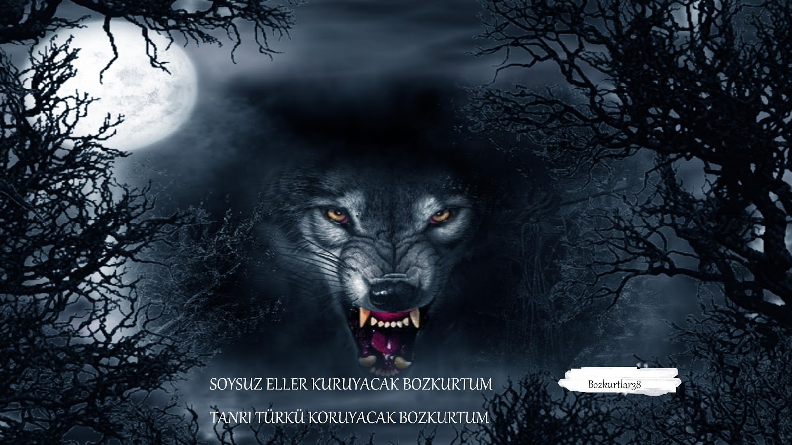 Bozkurtlar: Tanrı Türkü Koruyacak Bozkurtum