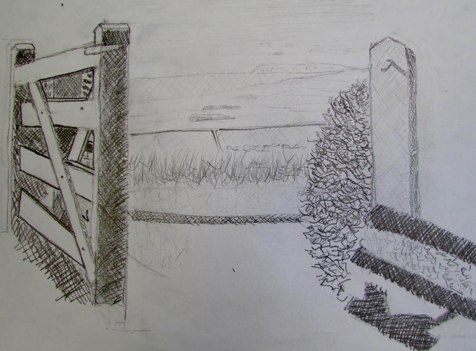 Isle of Wight Art Classes: More Basic Drawing Course - March 2016