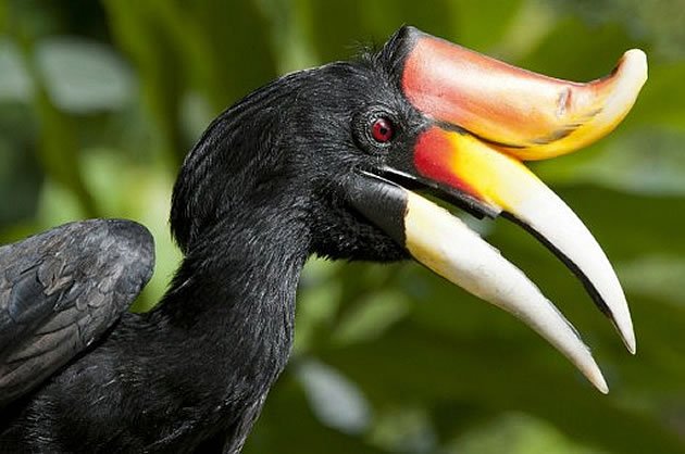 Natureza, Perfeição sem tamanho...