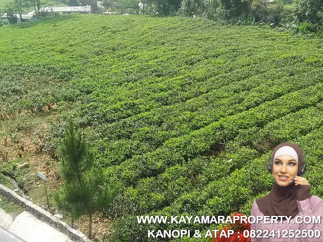 Piknik ke segoro ijo kemuning