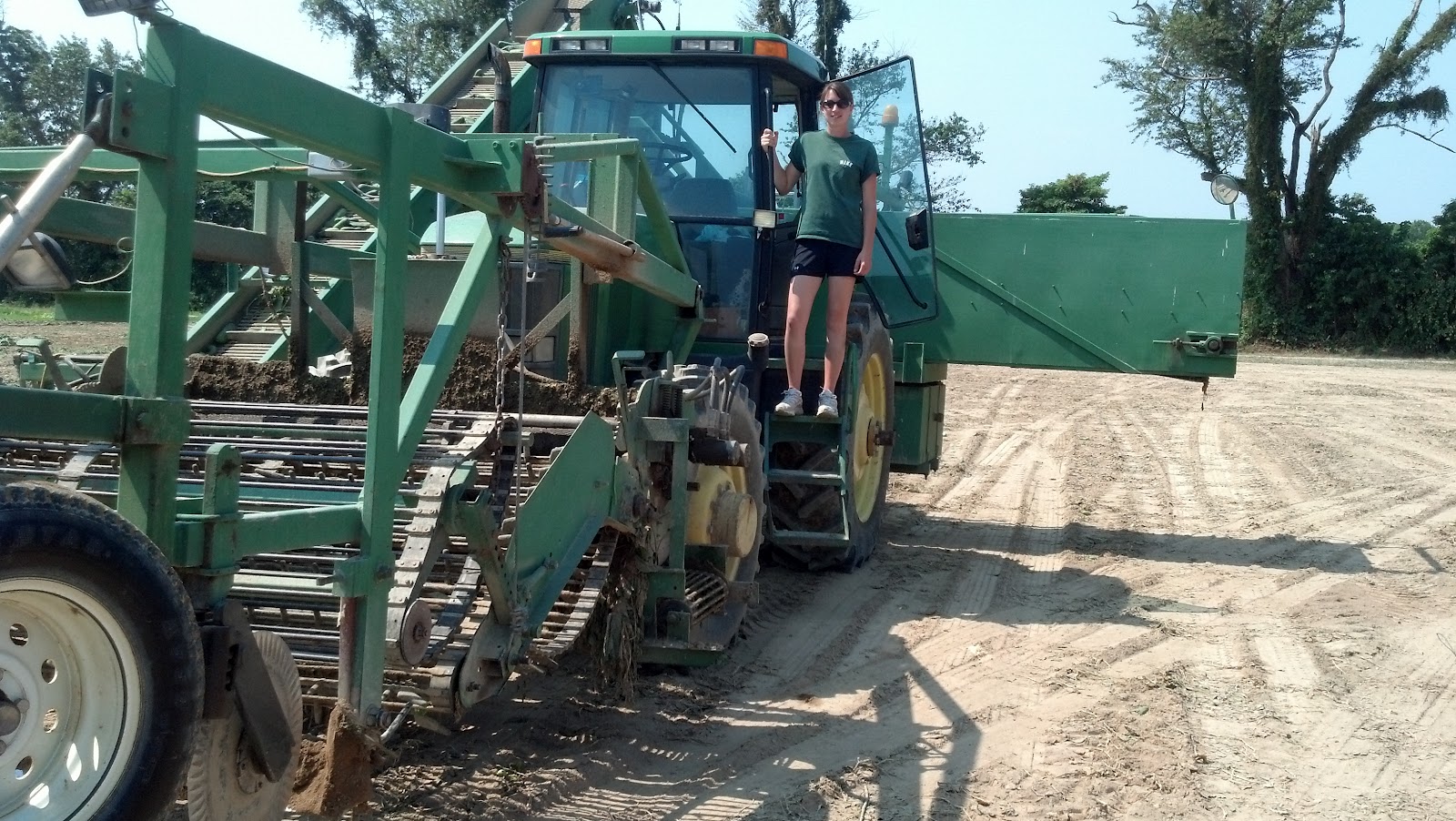 The Foodie Farmer: Picking Pickles!