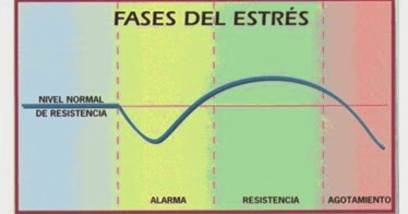 Terapia infantil y juvenil: Las 3 fases del Síndrome de Adaptación ...