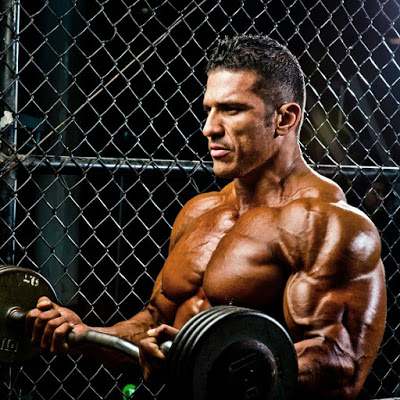 world bodybuilders pictures: united states of american bodybuilder ...