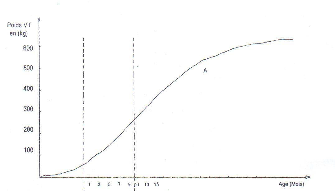 ENGRAISSEMENT DES BOVINS - I ~ LE MONDE DE L ELEVAGE