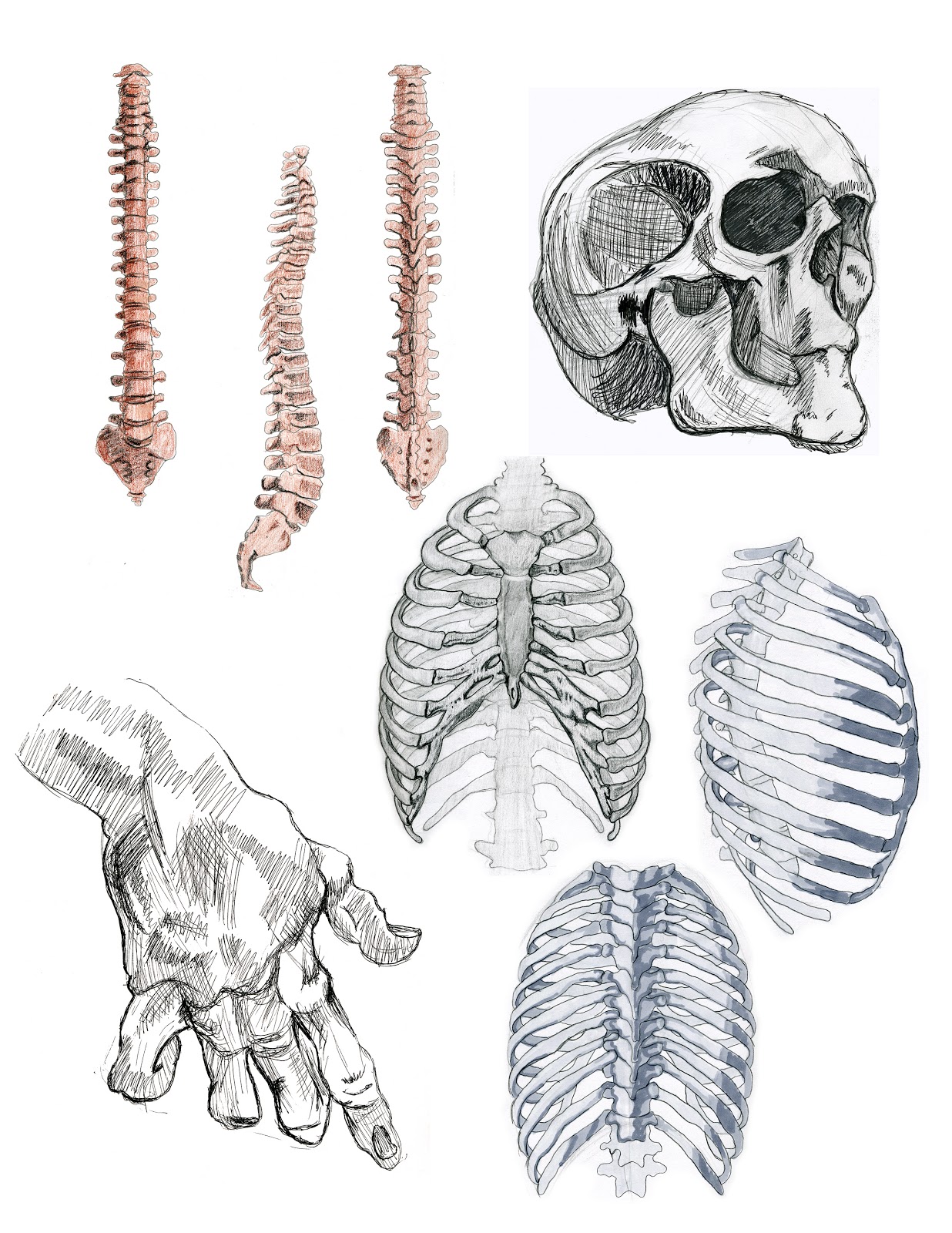 Jared Hart: Illustration