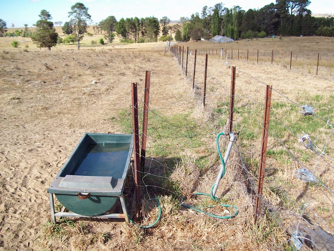 My Journey: Tap Enclosures and Trough Slab (Angle Grinder & Chainsaw)