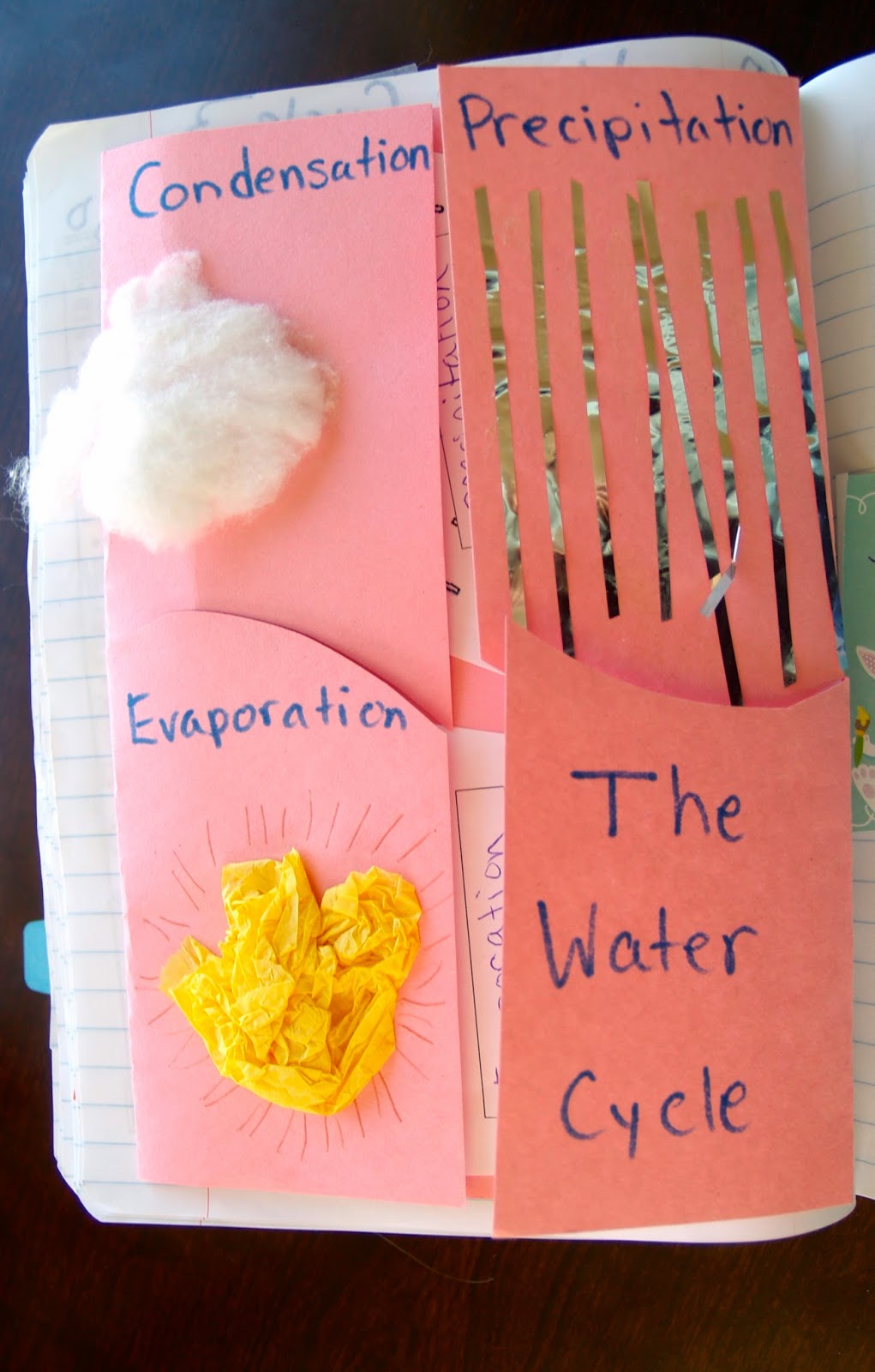 Grading Interactive Notebooks